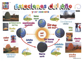 Ediciones Bob | Las cuatro estaciones del año (25 pzas)